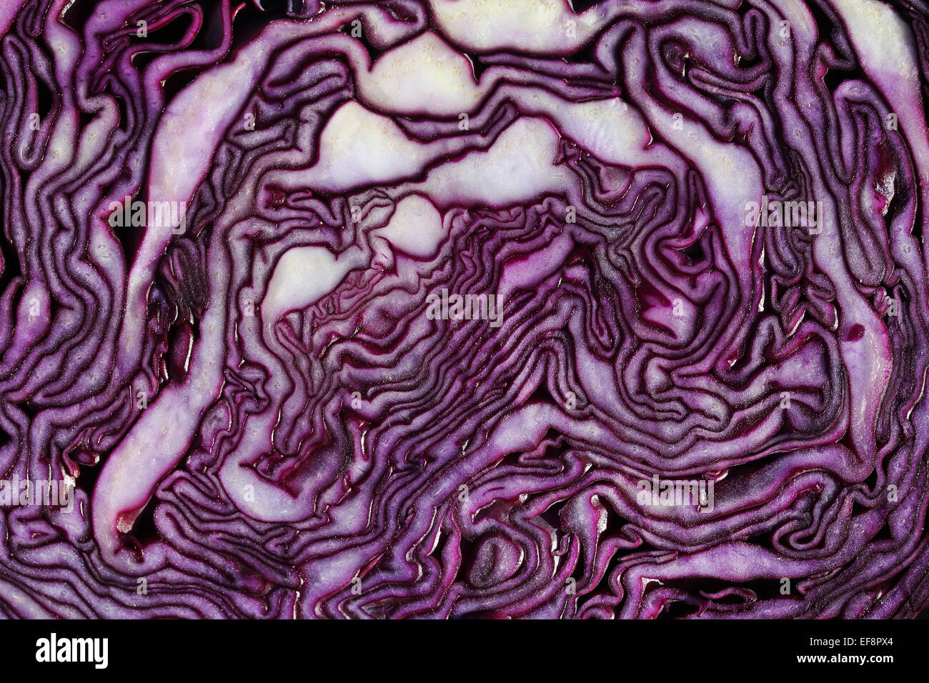 Cabbage cut hi-res stock photography and images - Alamy
