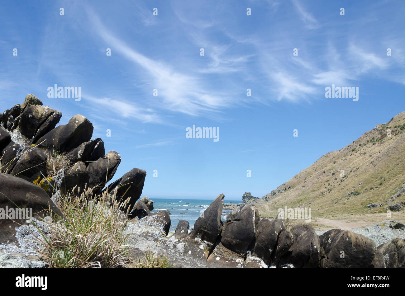 Rock formation, Honeycomb Rocks, Glenburn, Wairarapa, North Island, New ...