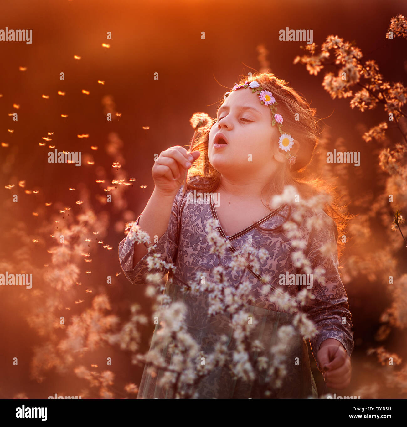 Girl blowing dandelion in spring Stock Photo - Alamy