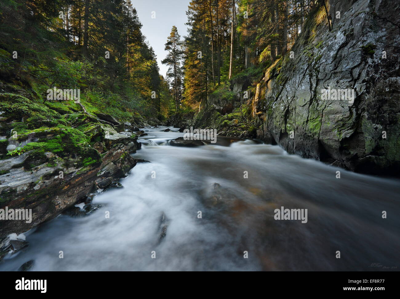 Laggen hi-res stock photography and images - Alamy