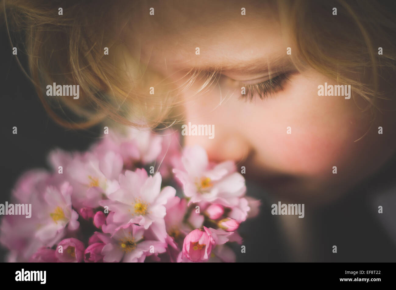 Close-up of a boy smelling flowers Stock Photo - Alamy