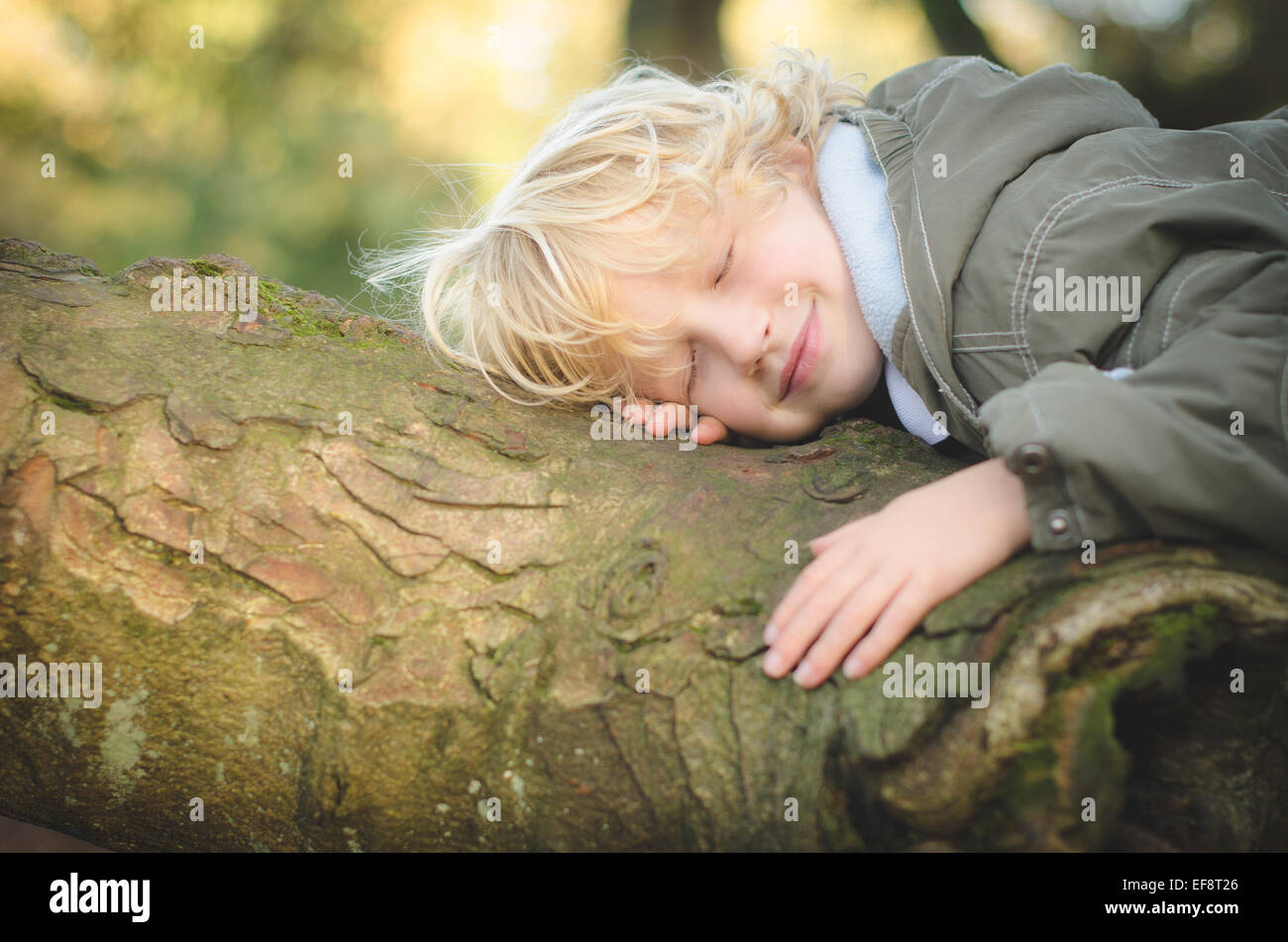 Smiling boy lying on a tree trunk Stock Photo - Alamy