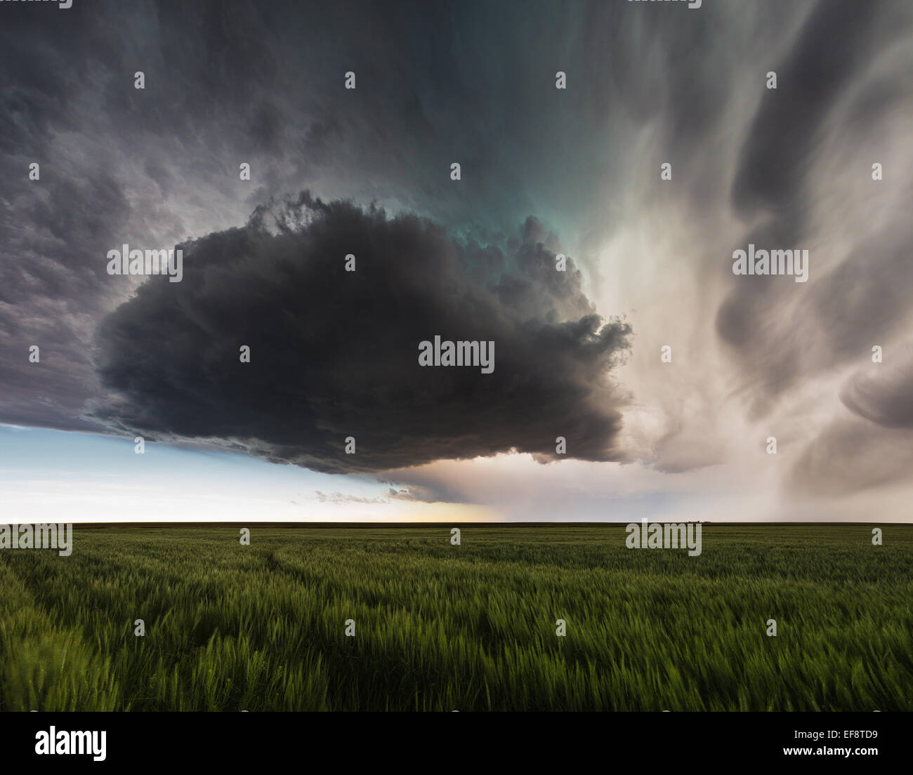 Supercell storm cloud over field, Nebraska, USA Stock Photo - Alamy