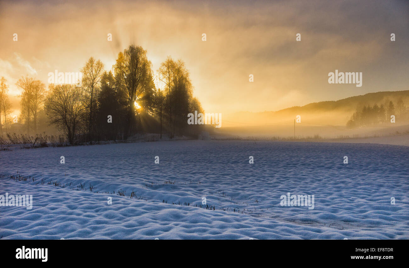 Rural landscape in the snow, Norway Stock Photo - Alamy