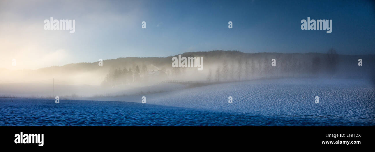 Nittedal forest hi-res stock photography and images - Alamy