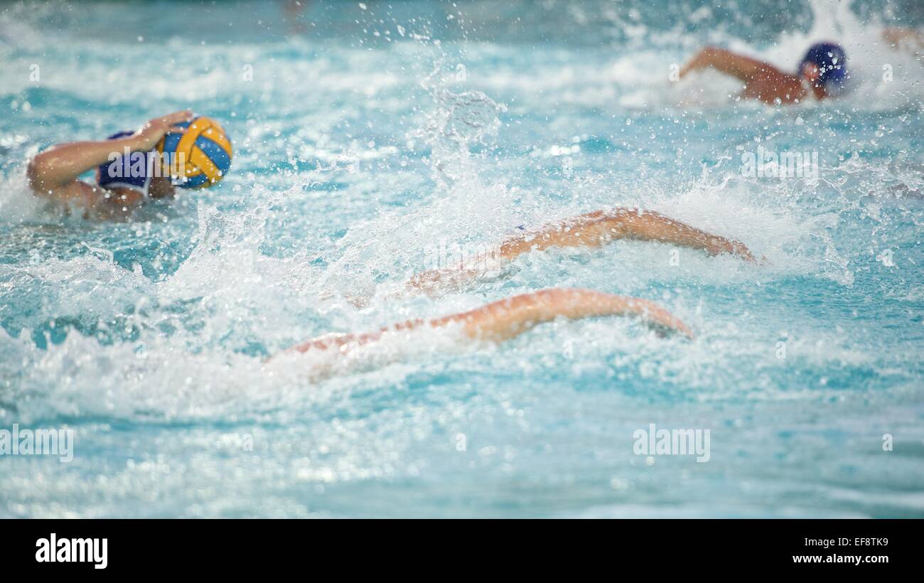 Swimming team adults hi-res stock photography and images - Alamy