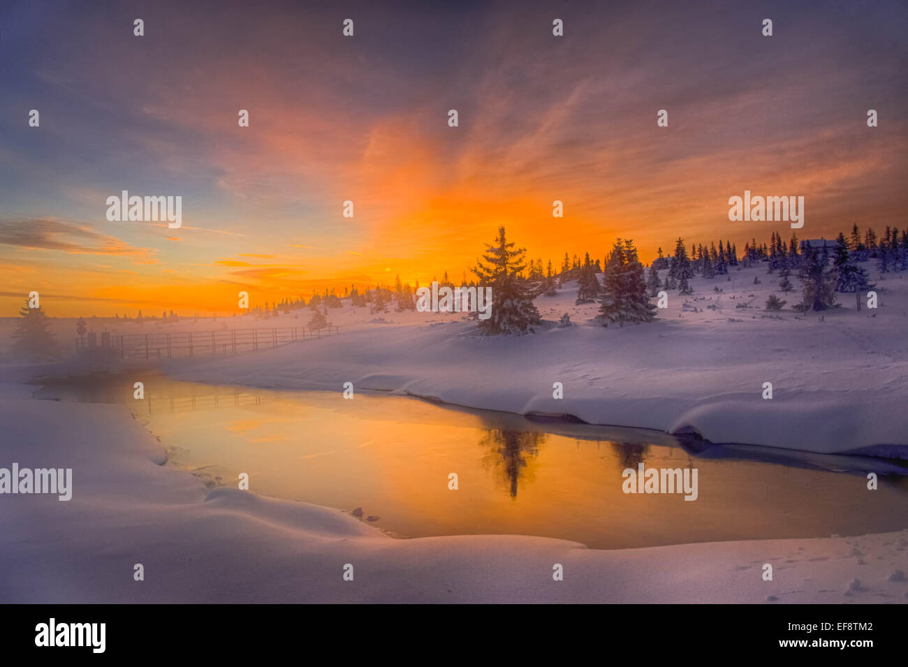Norway, Namsos, Winter landscape with fog at sunrise Stock Photo - Alamy