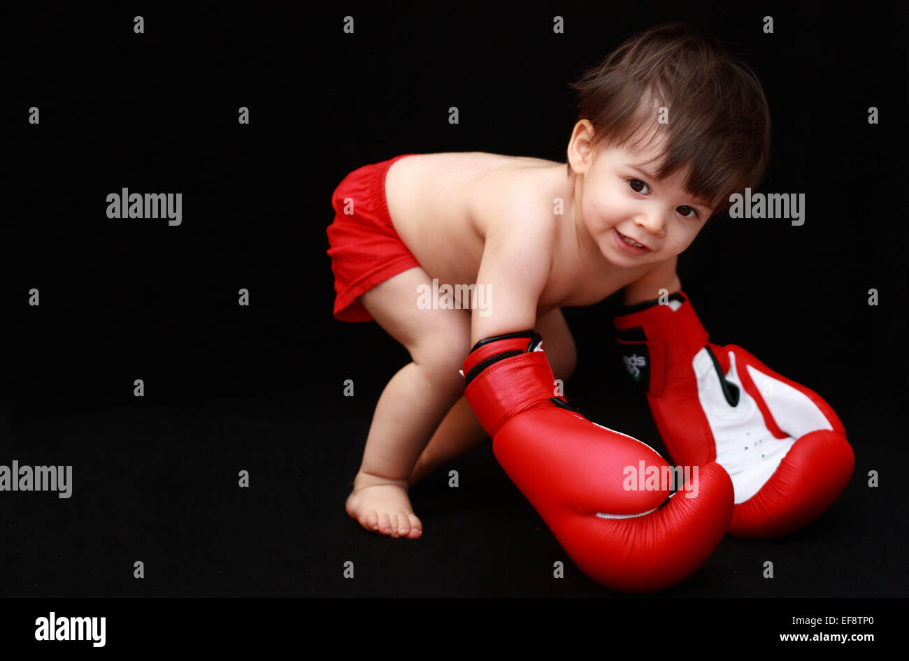 Baby boy (18-23 months) with boxing gloves Stock Photo - Alamy