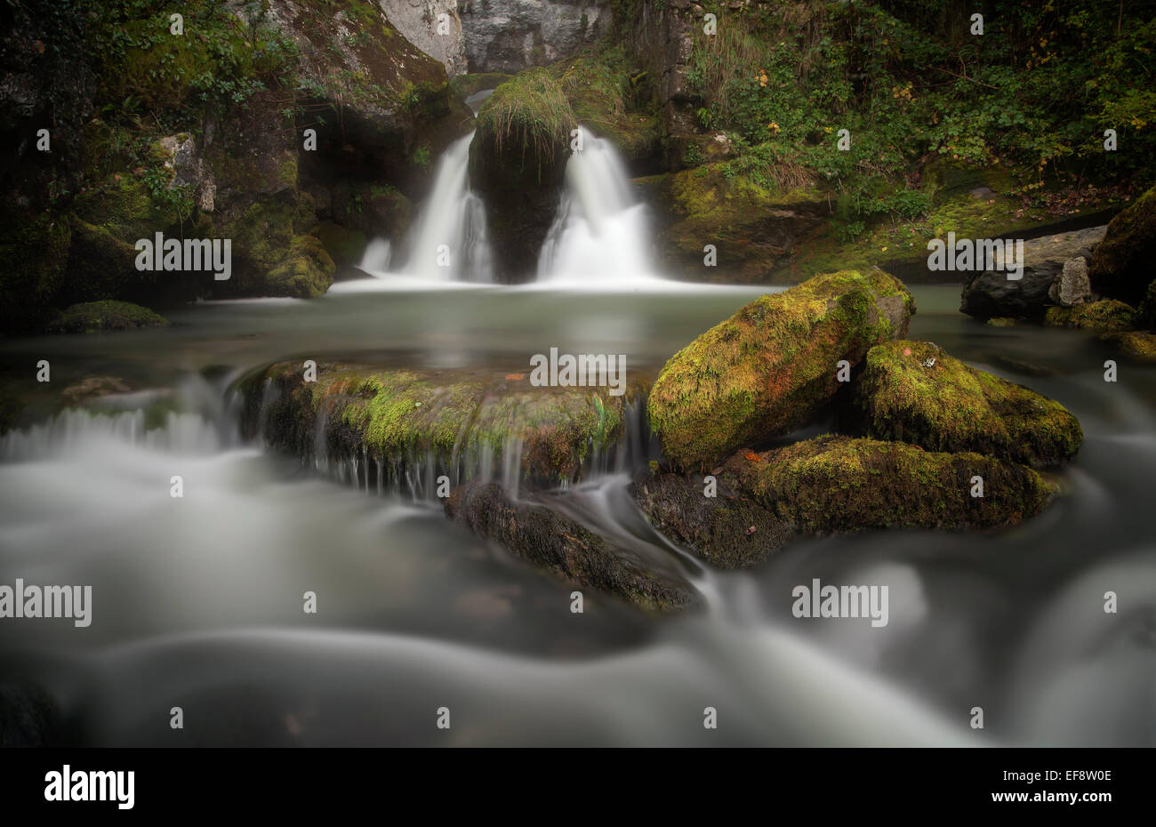 River moss on rock in hi-res stock photography and images - Alamy