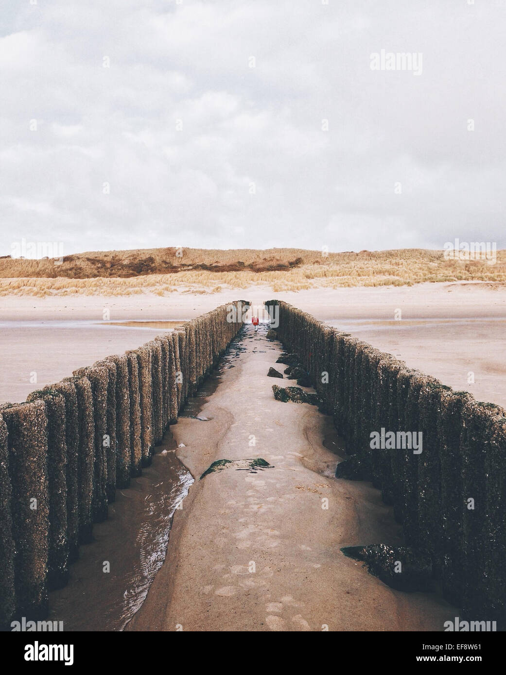 Groynes beach view hi-res stock photography and images - Alamy