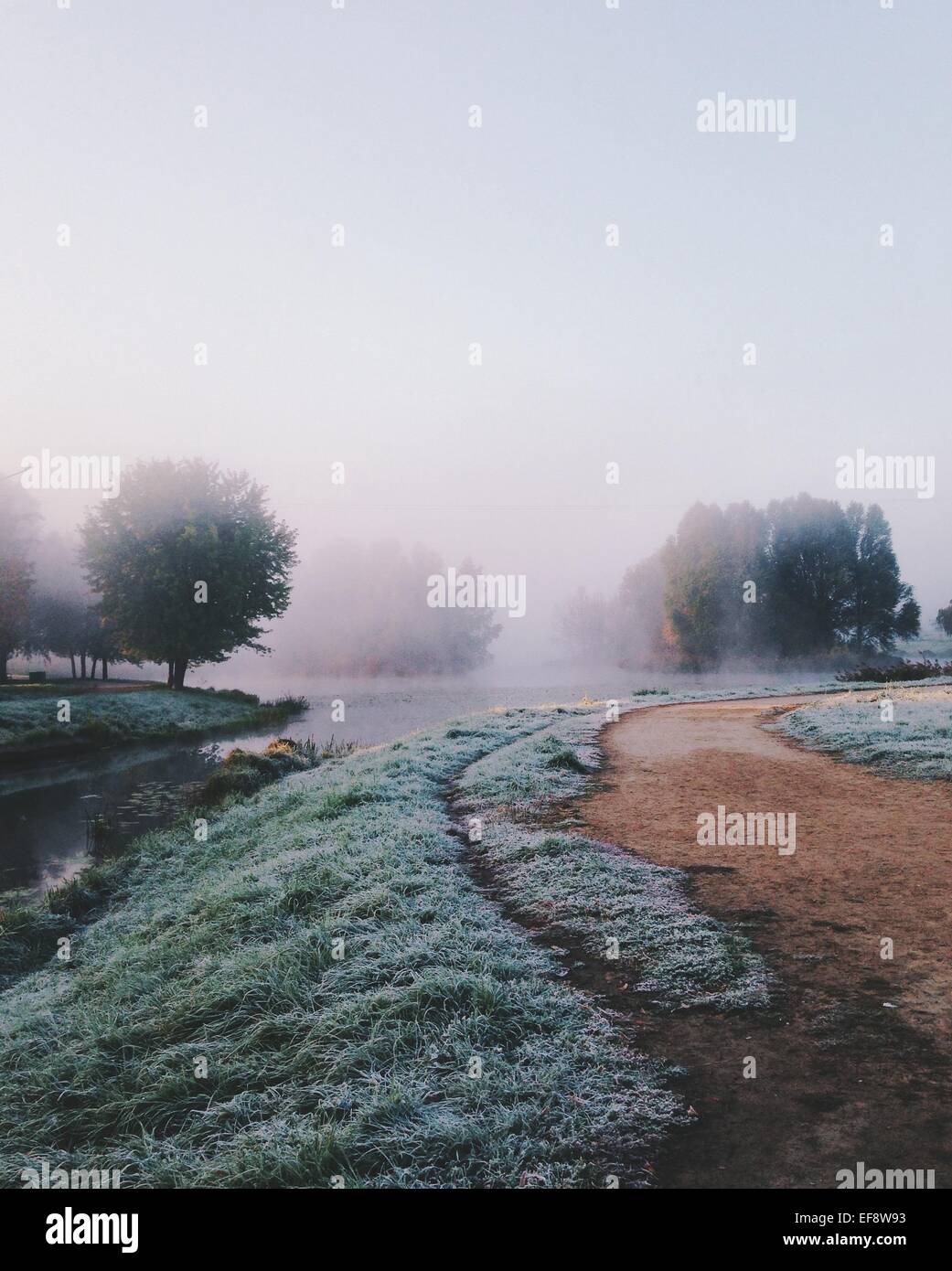 Beautiful morning fog Stock Photo - Alamy