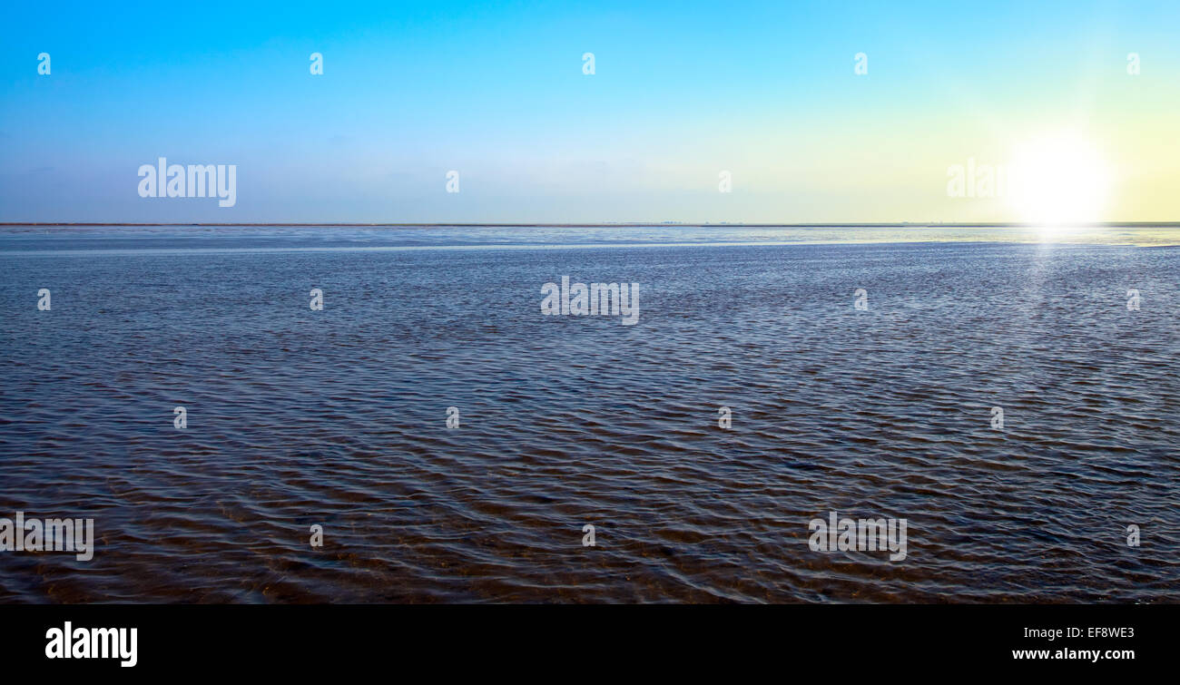 Danish wadden sea national park Stock Photo - Alamy