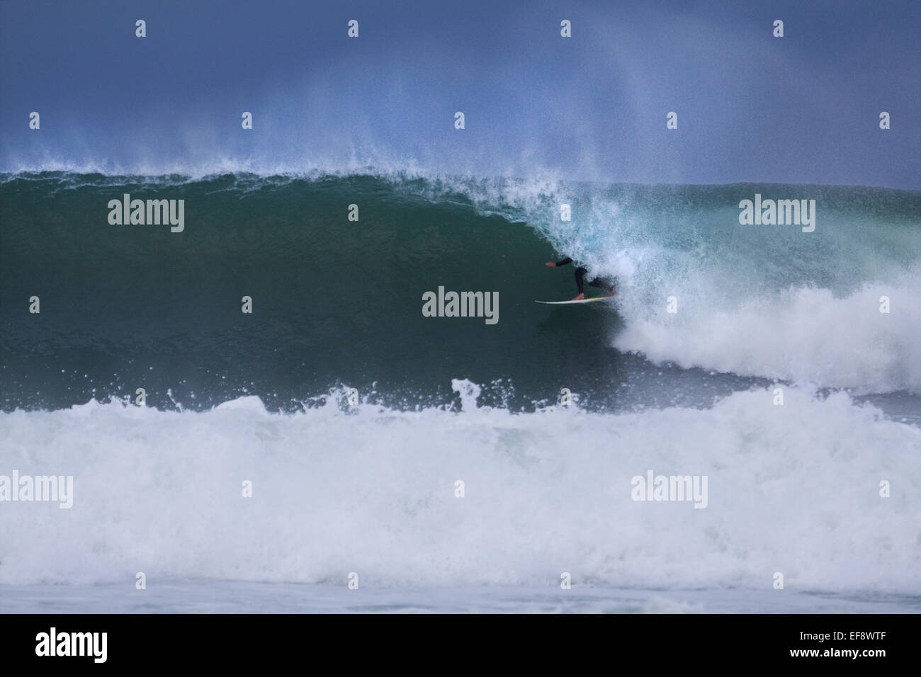 Sea barrel not coral hi-res stock photography and images - Alamy