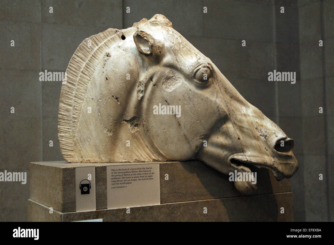 Greece. Athens. Parthenon. Head of horse from the chariot of the moon ...