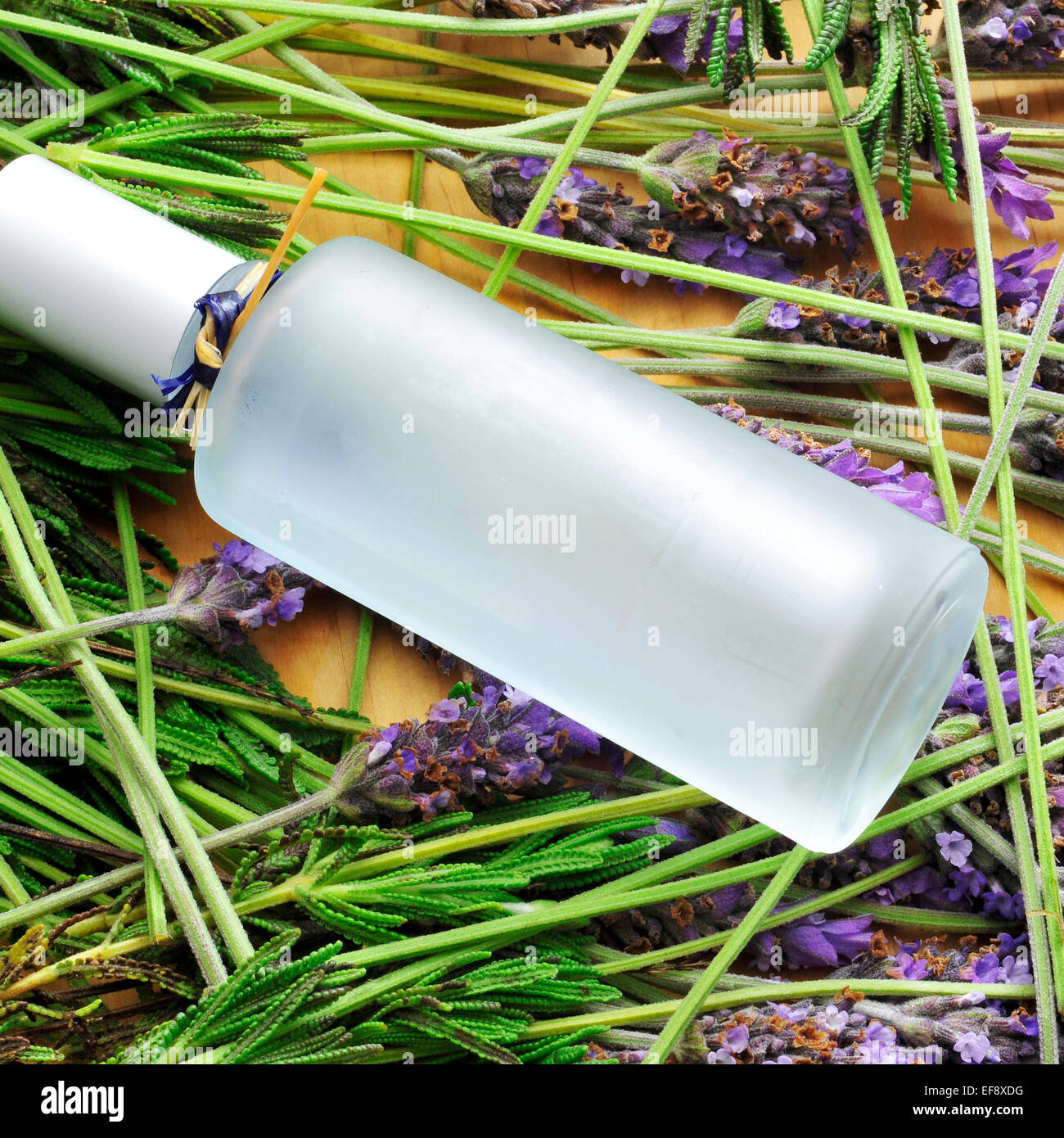 a bottle with fresh cologne and a pile of lavender flowers Stock Photo ...