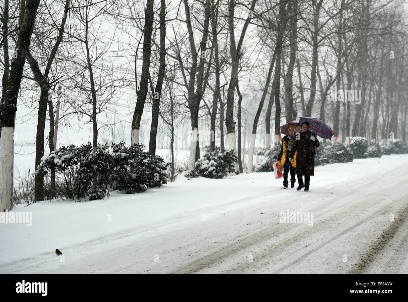 Wuhan, China's Hubei Province. 29th Jan, 2015. People walk in snow in ...