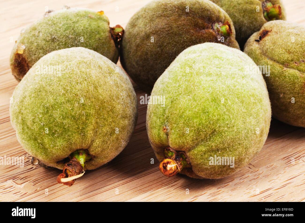 Almonds in their furry pods Stock Photo - Alamy