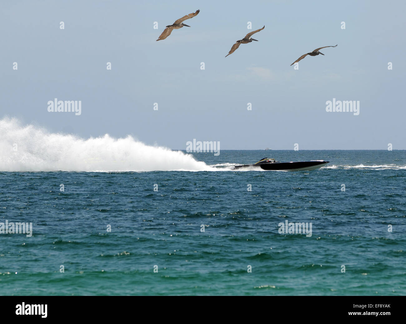 Speedboat moving fast along the coastline Stock Photo - Alamy