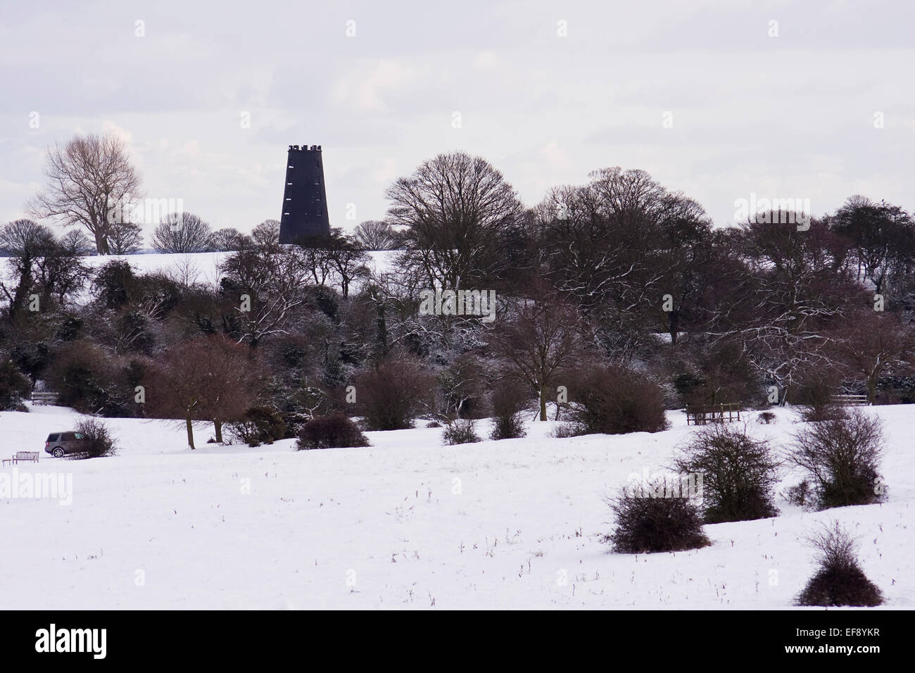 Landscape photograph of Beverley Westwood in winter, showing the view ...