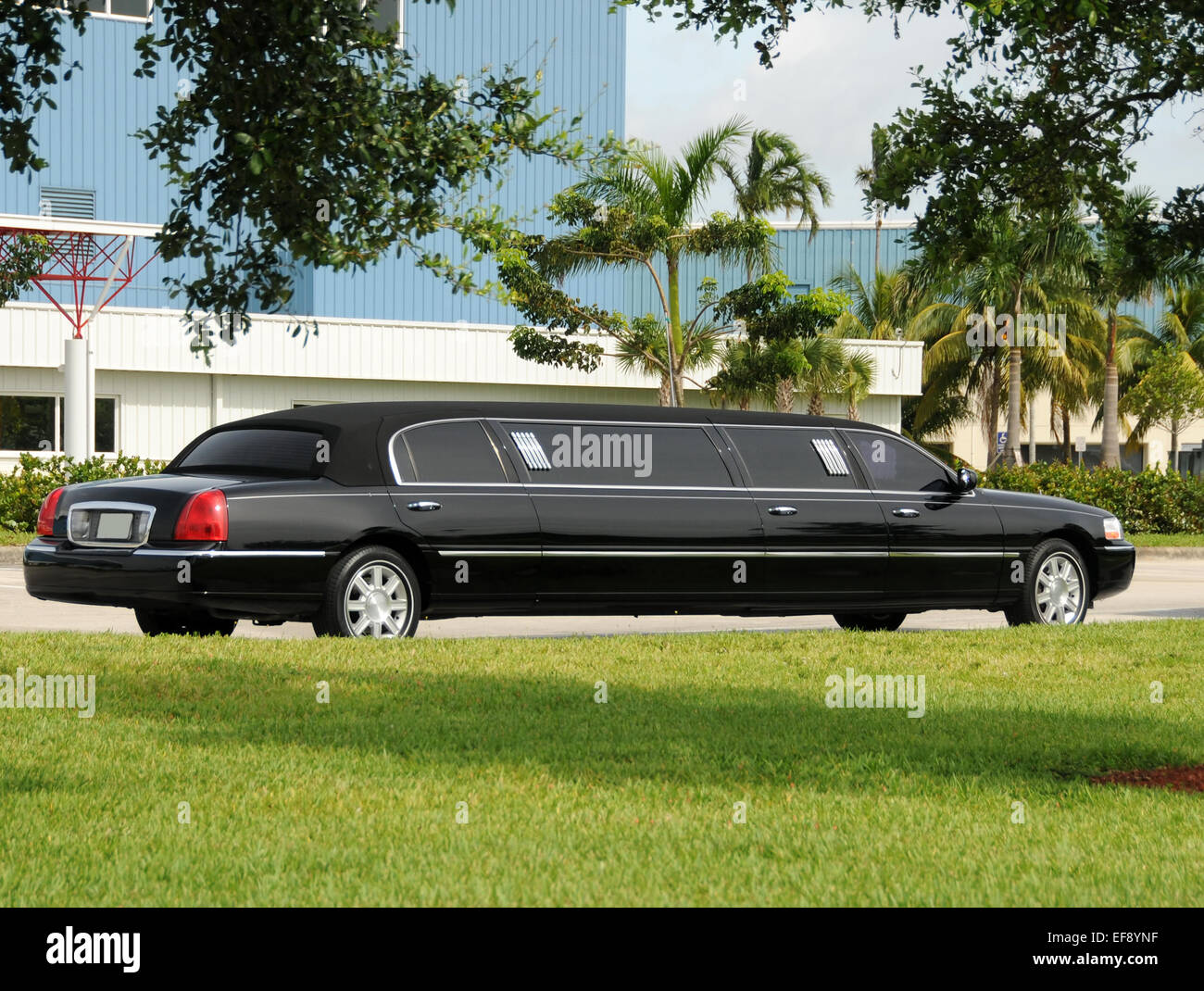 Luxury black limousine awaiting customers Stock Photo - Alamy