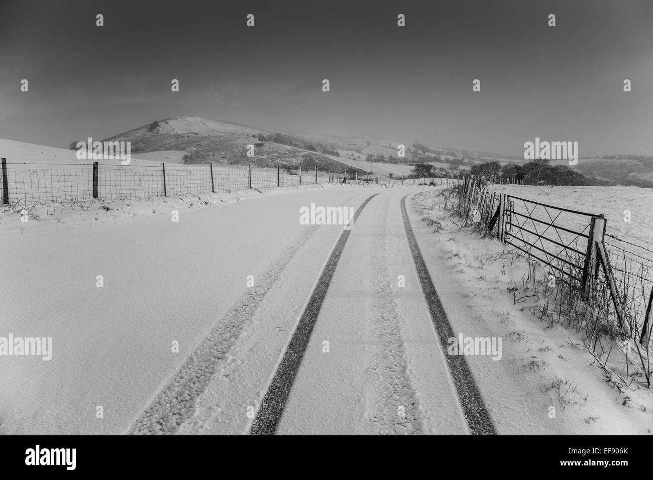 Tyre tracks on grass Black and White Stock Photos & Images - Alamy
