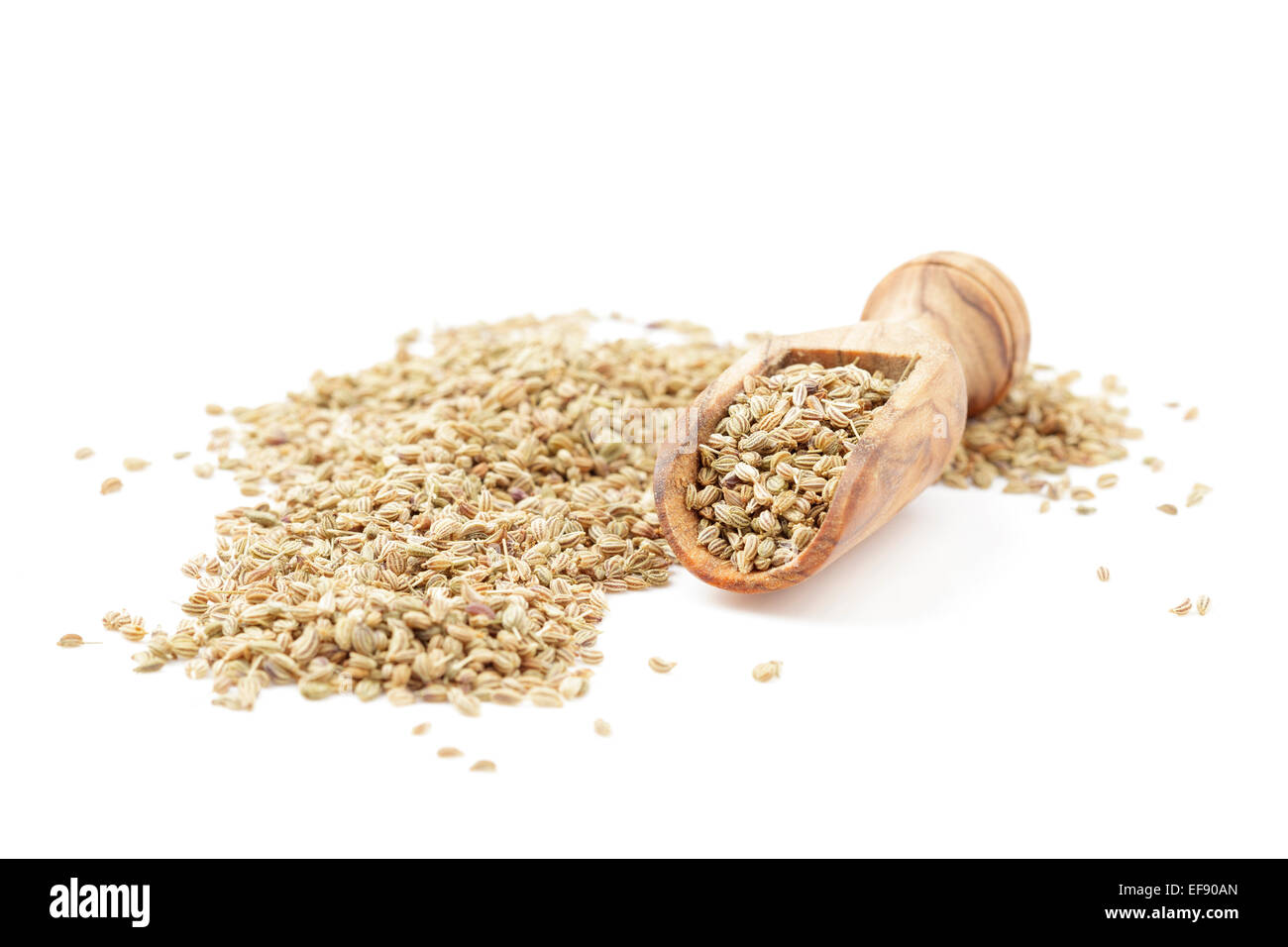 Ammi seeds hi-res stock photography and images - Alamy