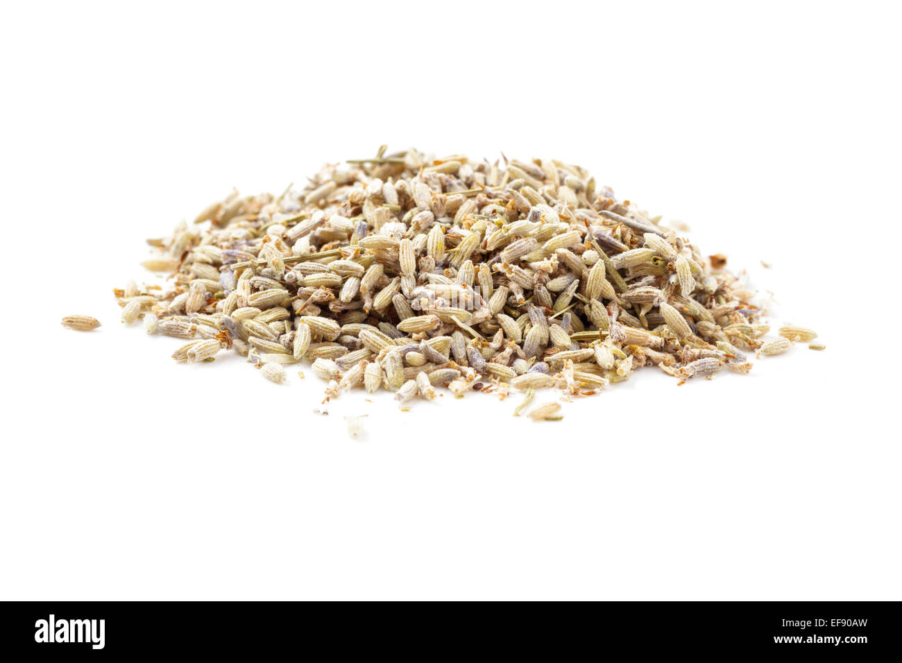 Lavender seed hi-res stock photography and images - Alamy