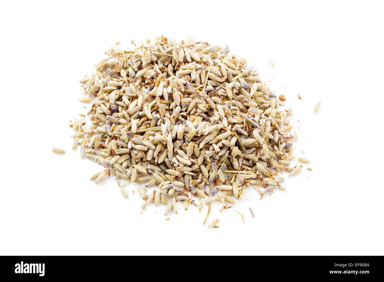 Lavender seed hi-res stock photography and images - Alamy