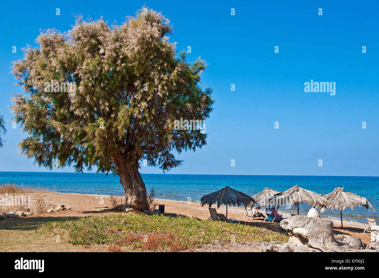 Rethymno Beach High Resolution Stock Photography and Images - Alamy