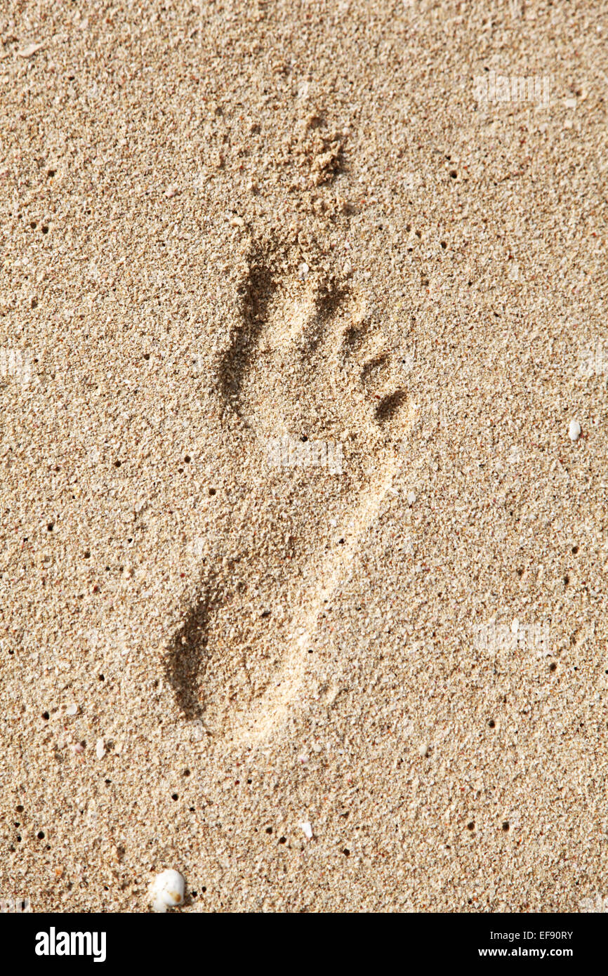 Single footprint on the sand Stock Photo - Alamy