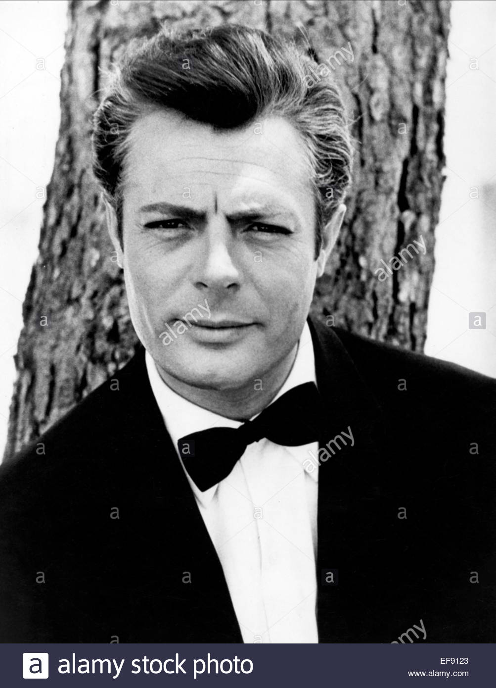 MARCELLO MASTROIANNI LA DOLCE VITA (1960 Stock Photo, Royalty Free ...
