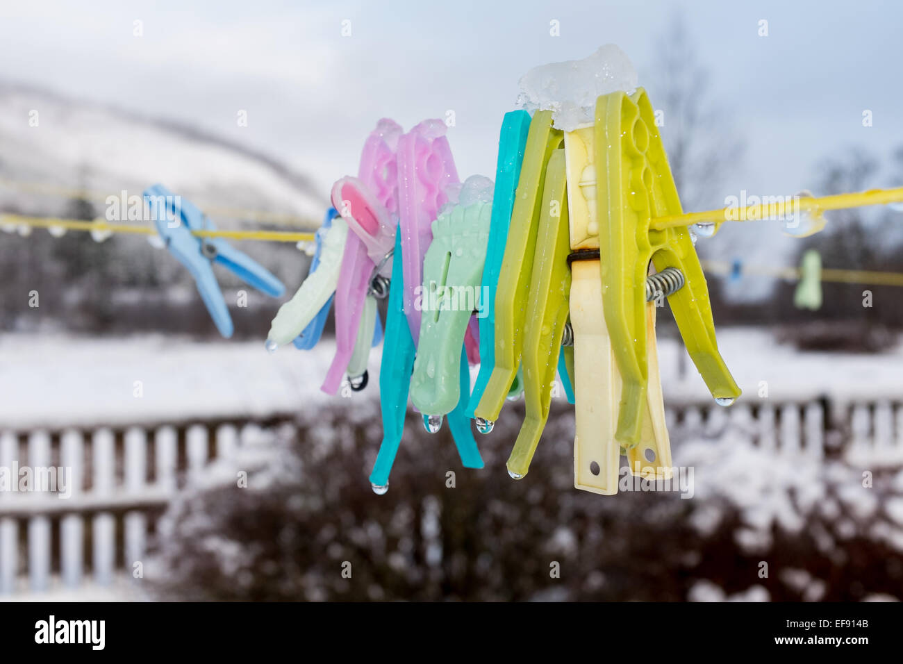 plastic clothes pegs on a washing line Stock Photo - Alamy