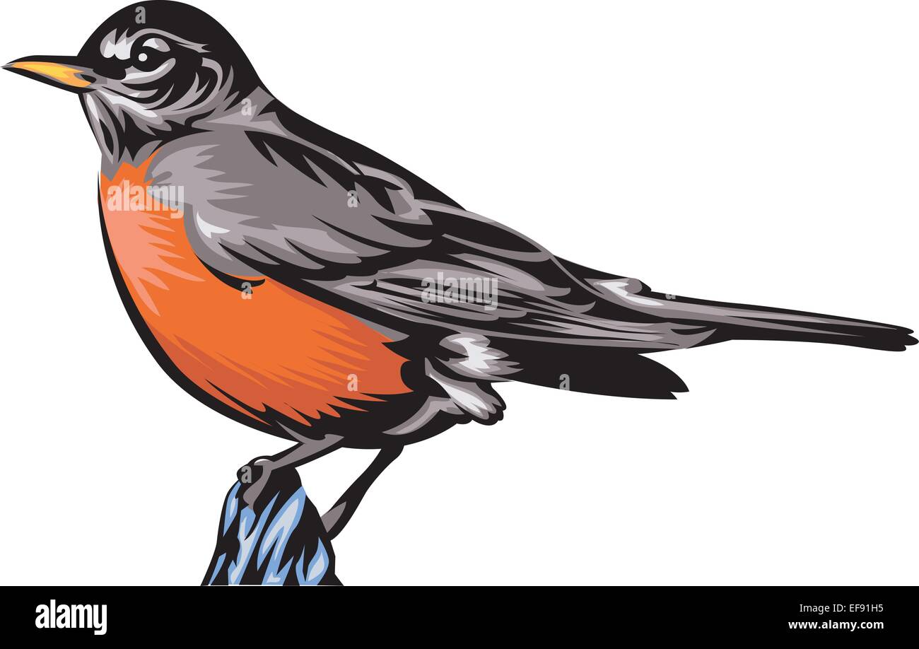 Red perched Cut Out Stock Images & Pictures - Alamy