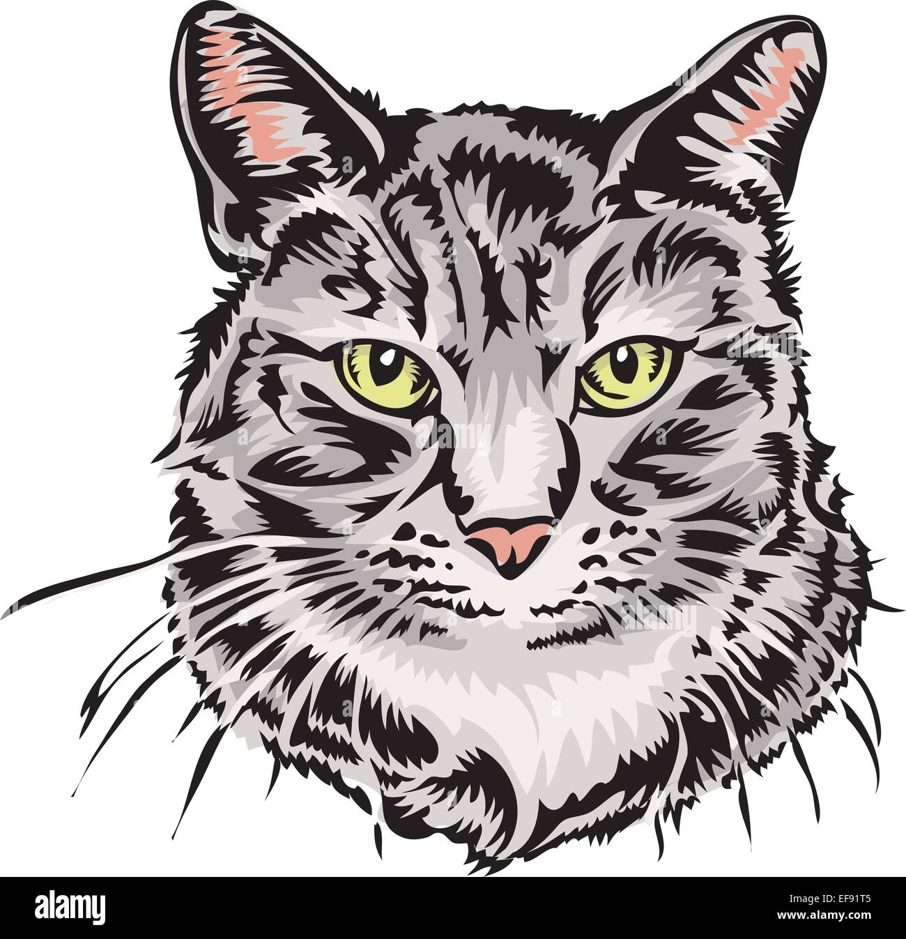 Pen and ink cat drawings Cut Out Stock Images & Pictures - Alamy
