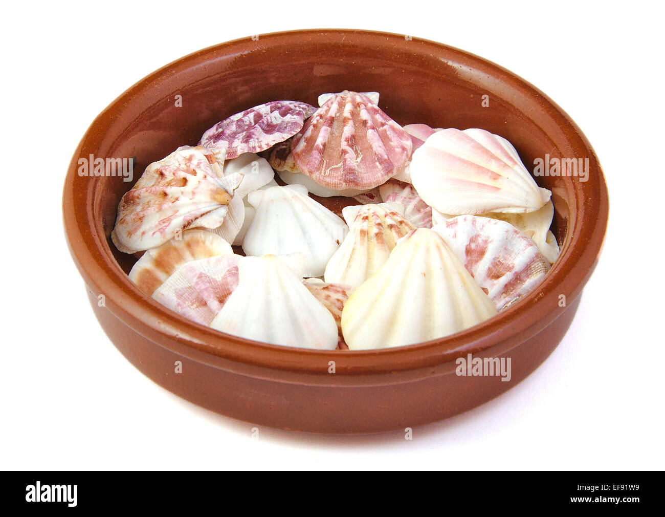 Sea shells in a bowl pot on white background Stock Photo - Alamy
