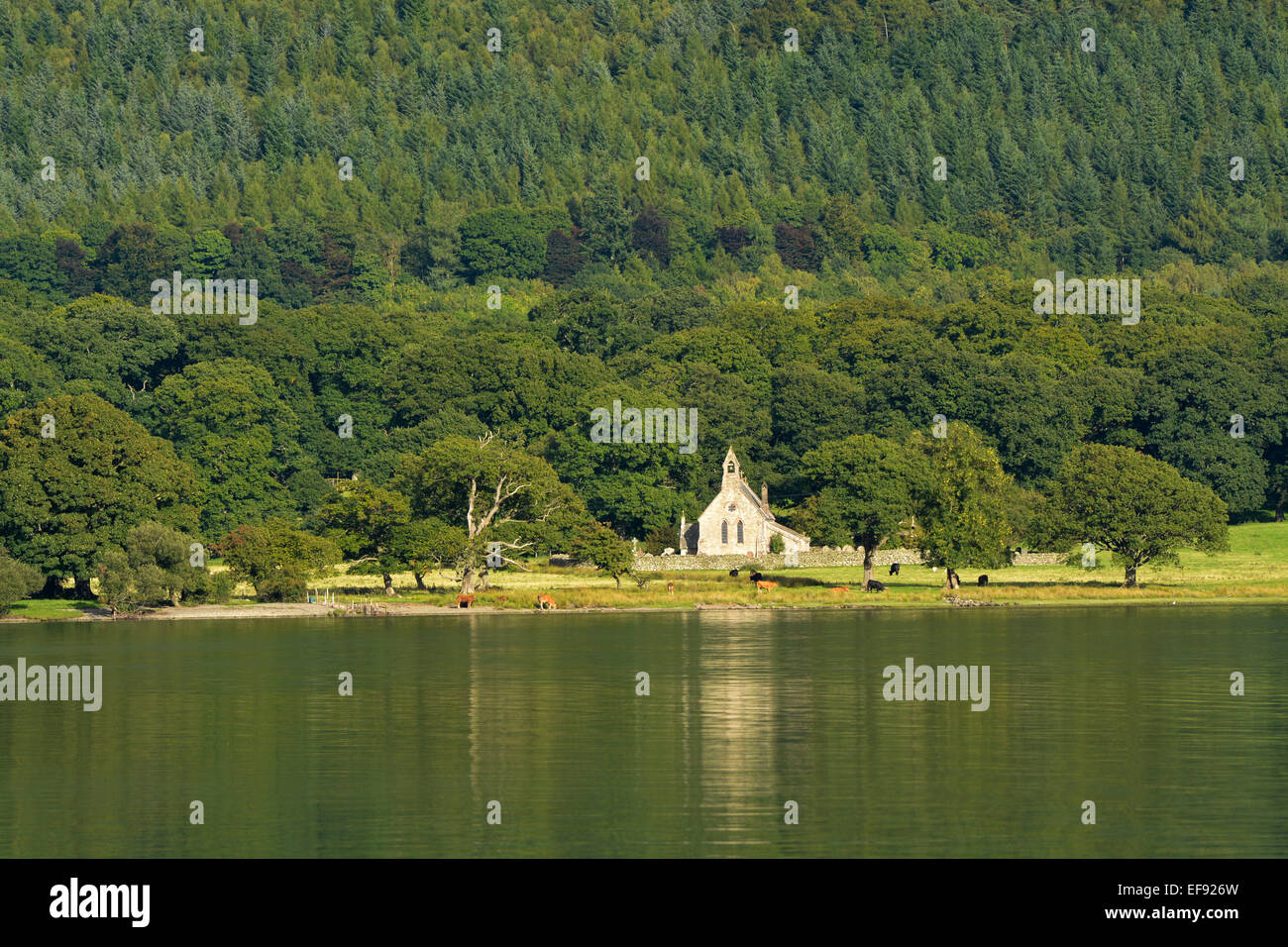 St Bega's Church on the edge of Bassenthwaite, in evening sunlight ...