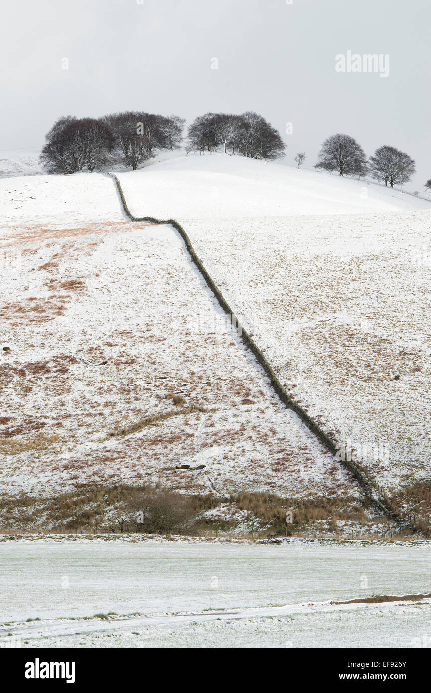 Winter snow field trees hi-res stock photography and images - Alamy