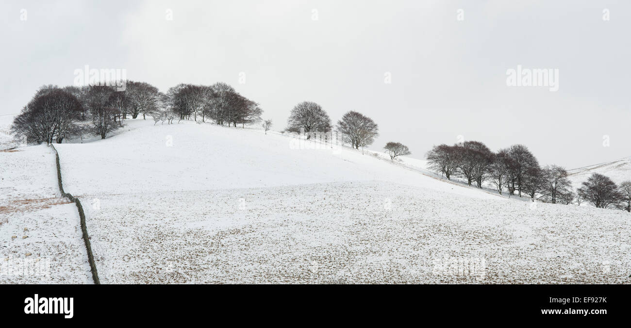 Field, wall and trees in the winter snow. Peebleshire. Scotland Stock ...