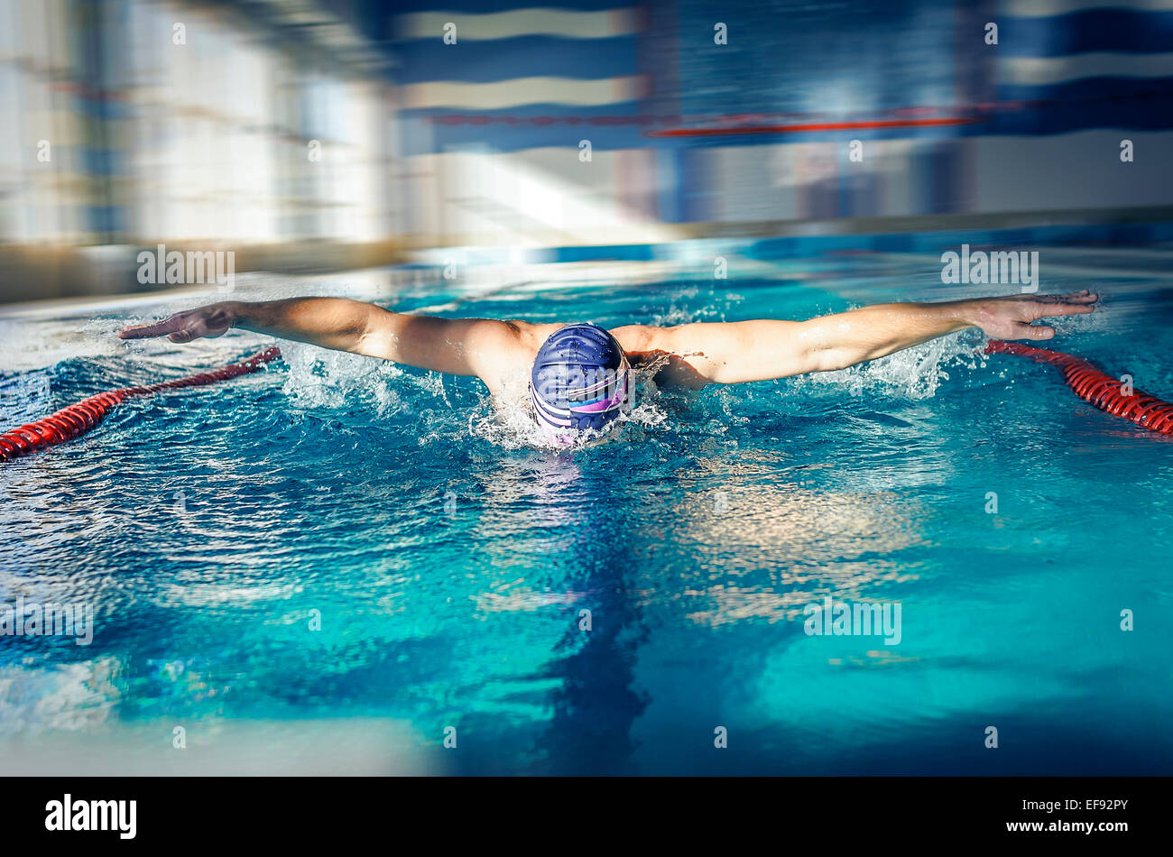 Swimmer in a swimming pool Stock Photo - Alamy