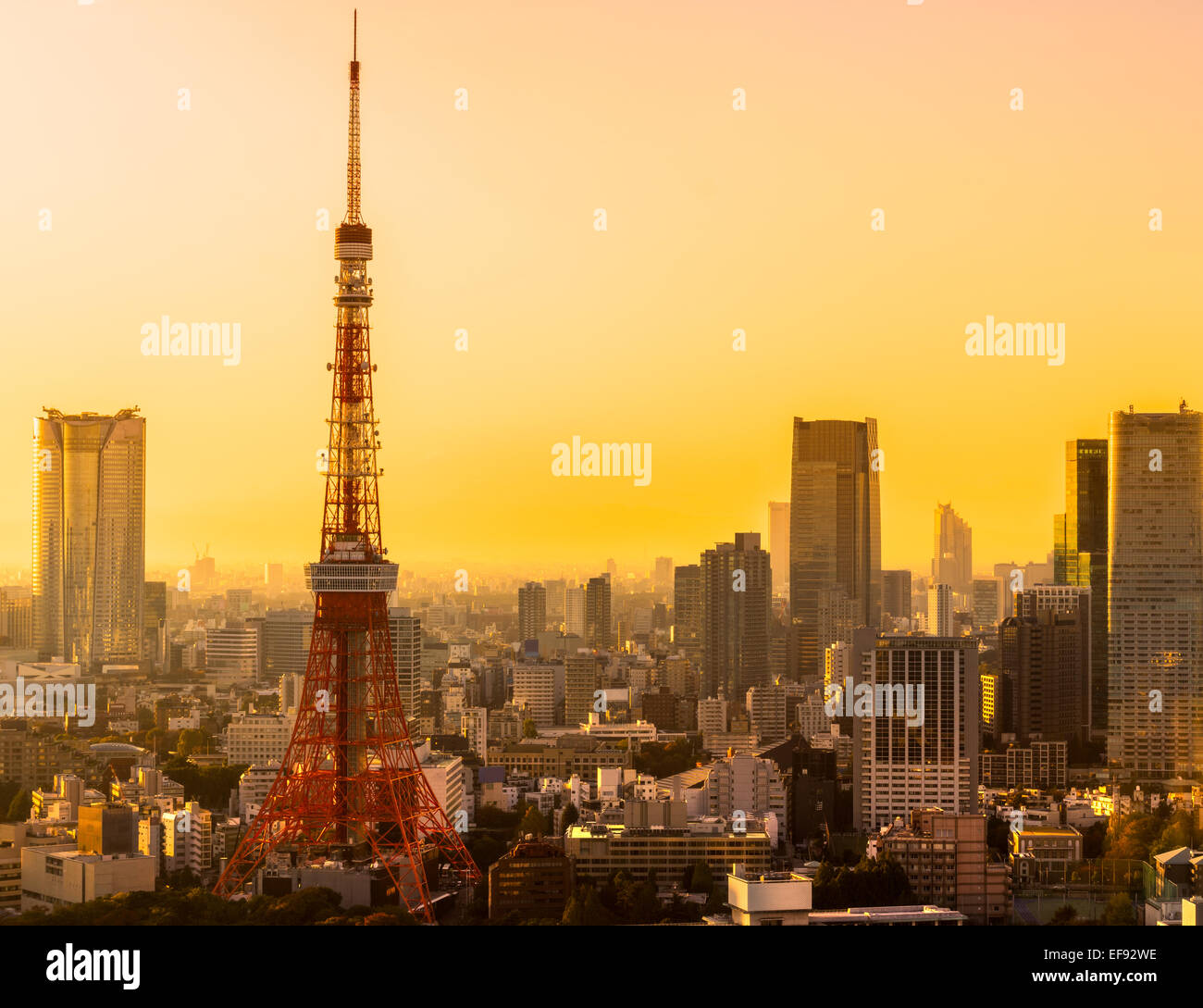View of Tokyo Skyline Tokyo, Japan Stock Photo - Alamy