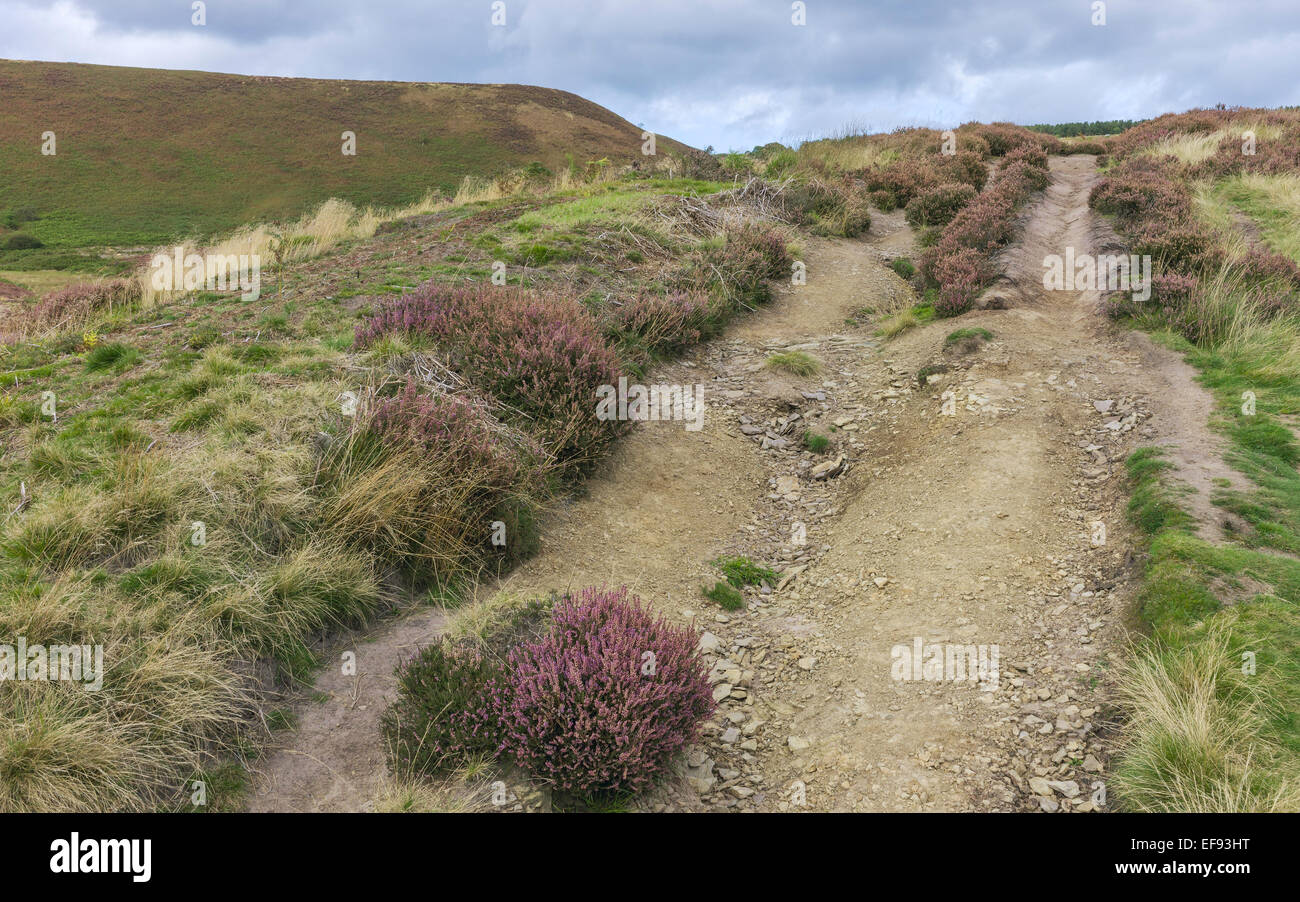 Path through the moors hi-res stock photography and images - Alamy