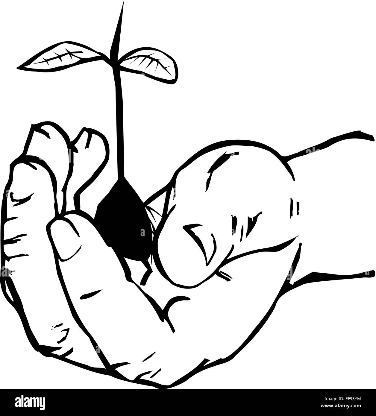 Plant In Hand Clipart