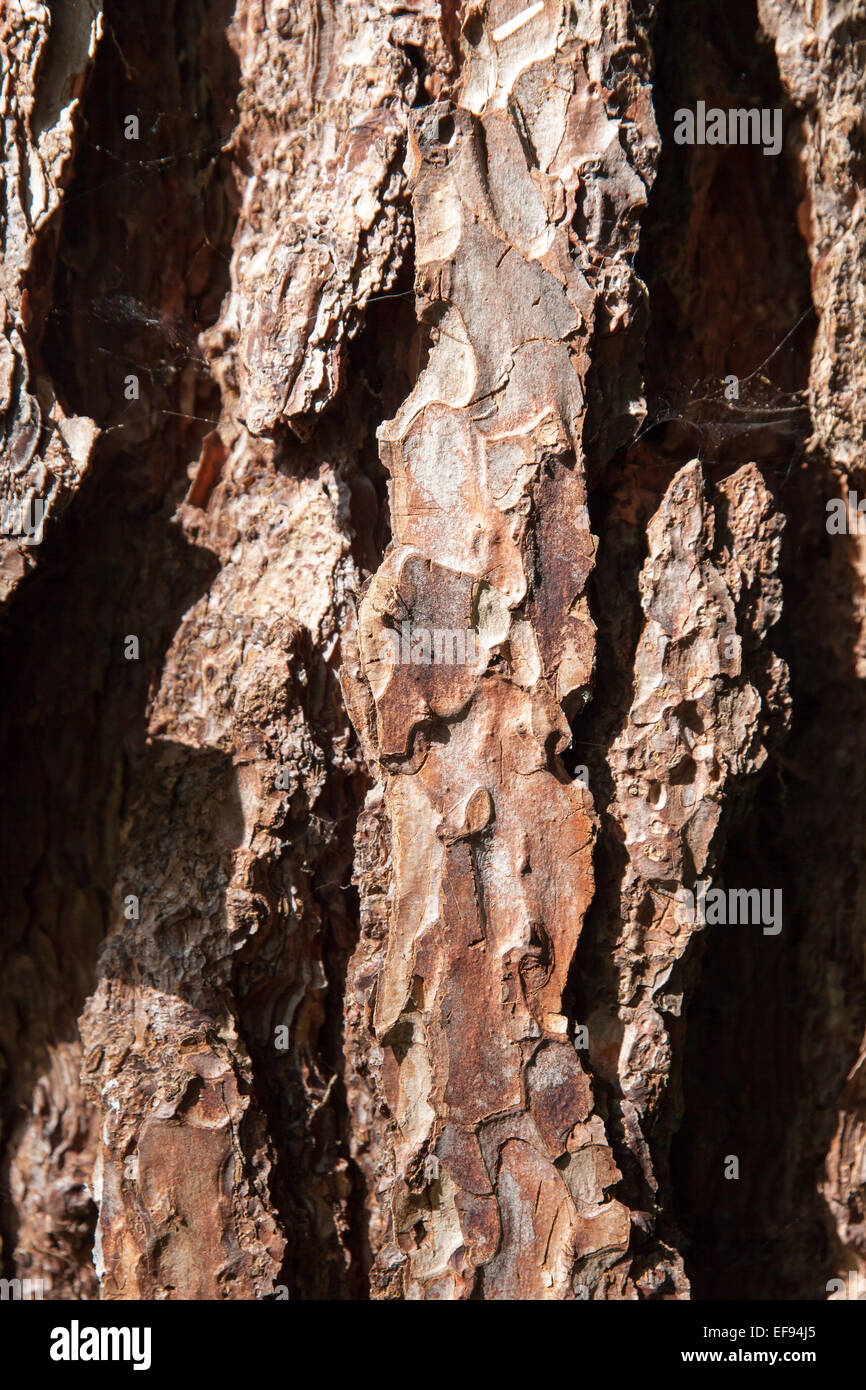 Bumpy texture hi-res stock photography and images - Alamy