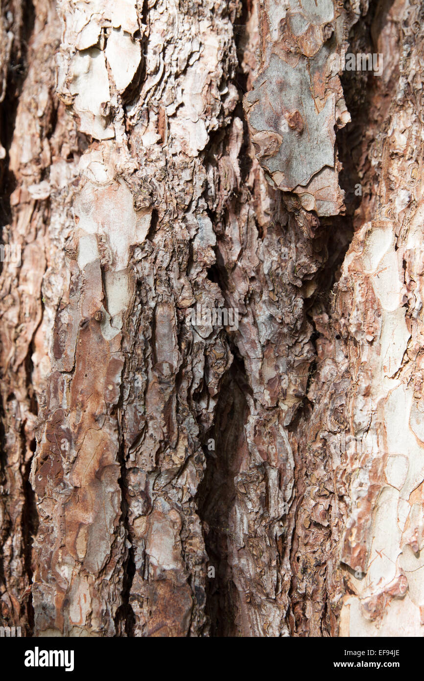 Bumpy texture hi-res stock photography and images - Alamy