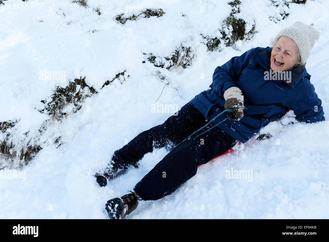 78 year old lady sledging down a snowy hillside Stock Photo - Alamy