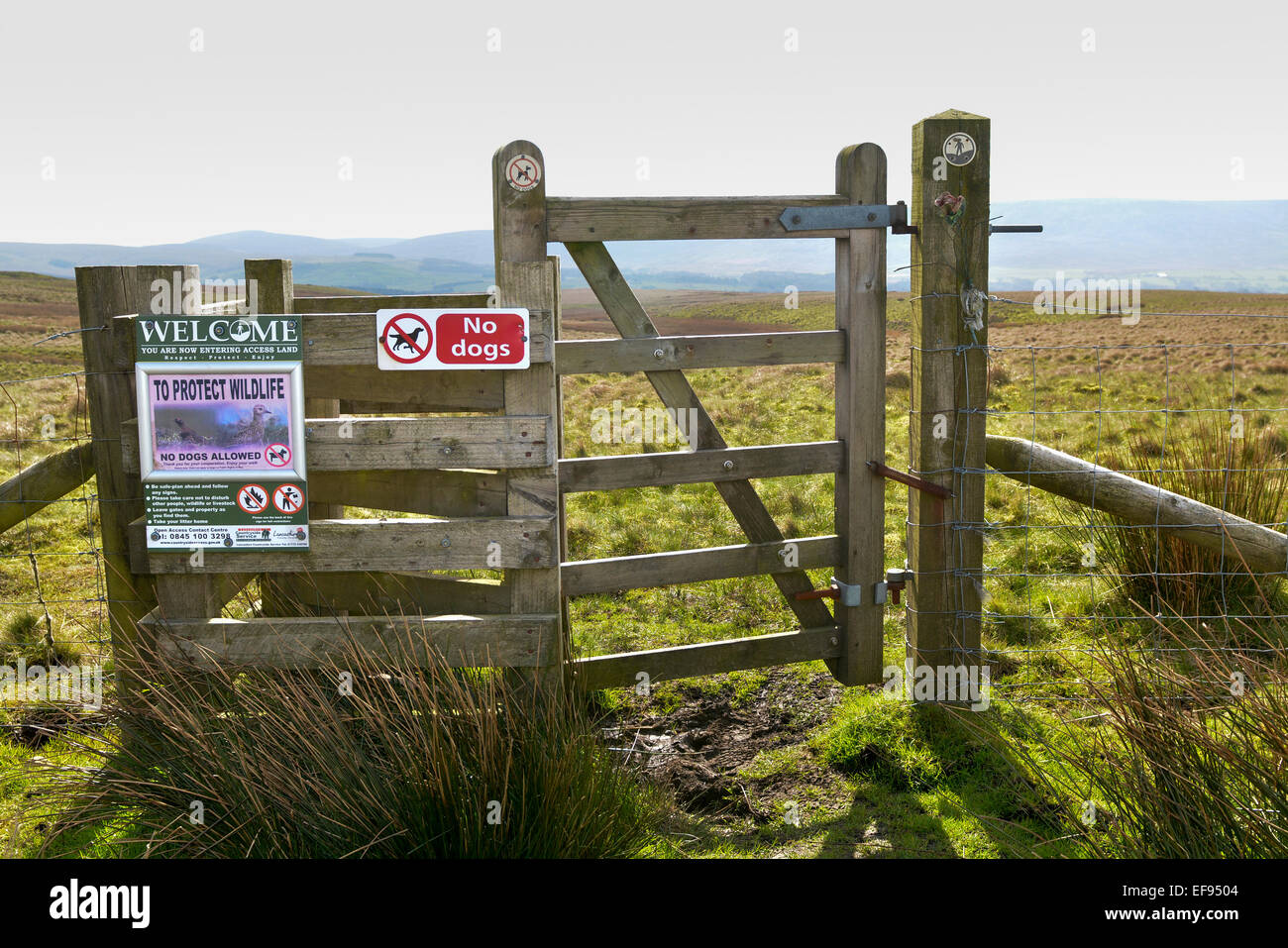 Access gate onto moorland, with guideline signs, Lancashire, UK Stock ...