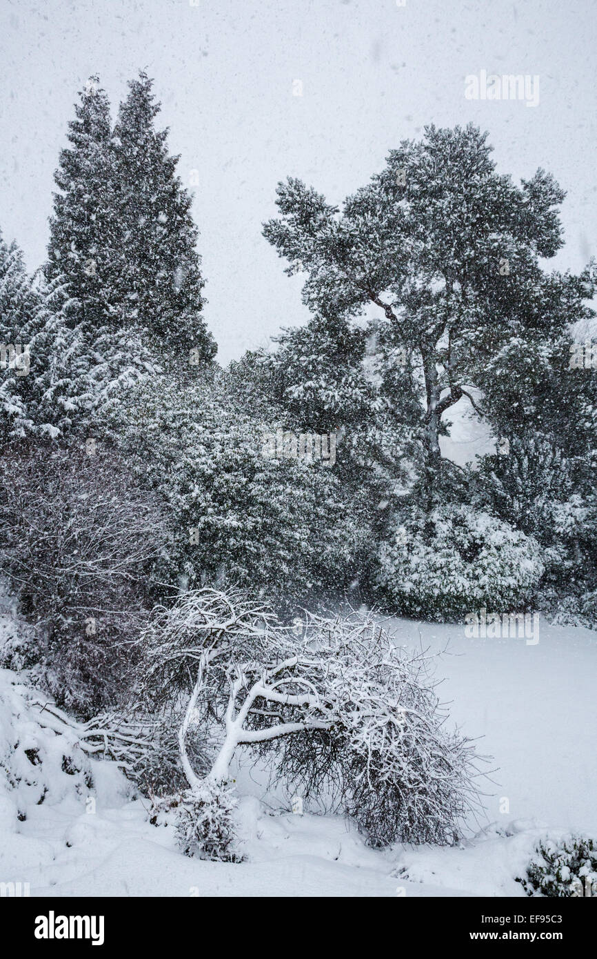 Sheffield snow city hi-res stock photography and images - Alamy