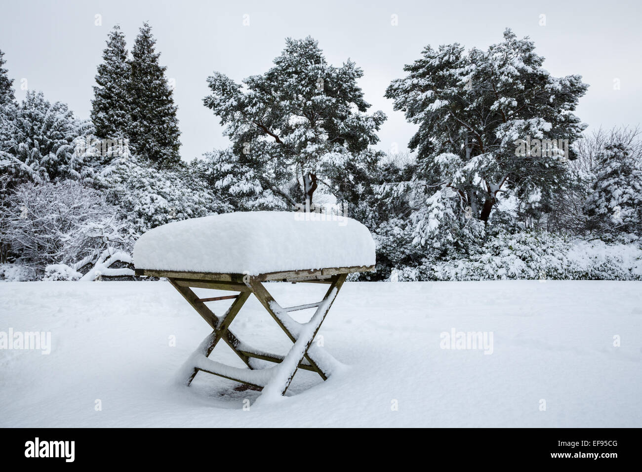 Sheffield snow city hi-res stock photography and images - Alamy
