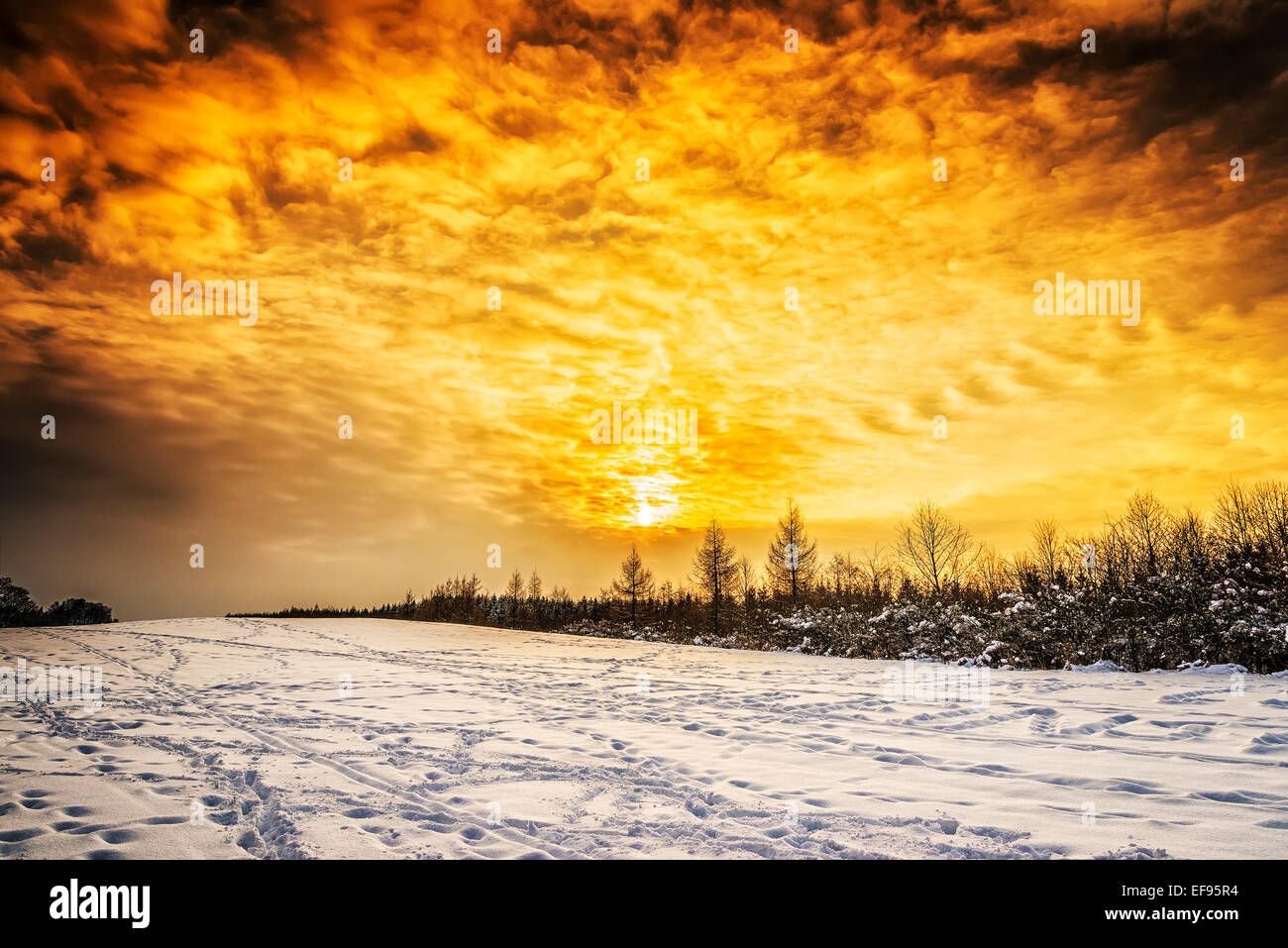 Winter landscape with evening sky hi-res stock photography and images ...