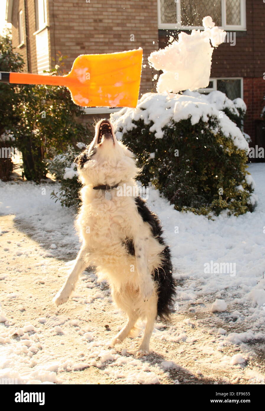Snowfall chesterfield hi-res stock photography and images - Alamy
